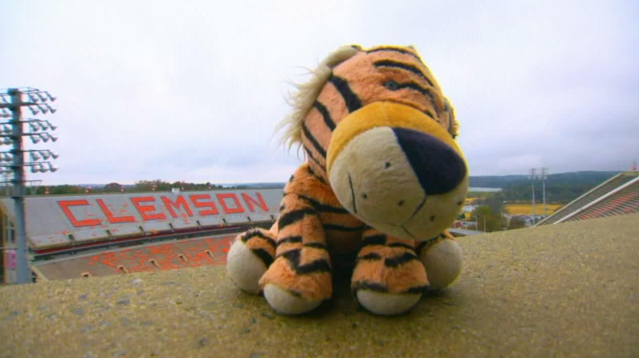 Lachlan The Tiger - ESPN Video