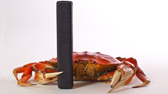 Snowboard gear - Crab Grab, next-level stomp pad for the next ...