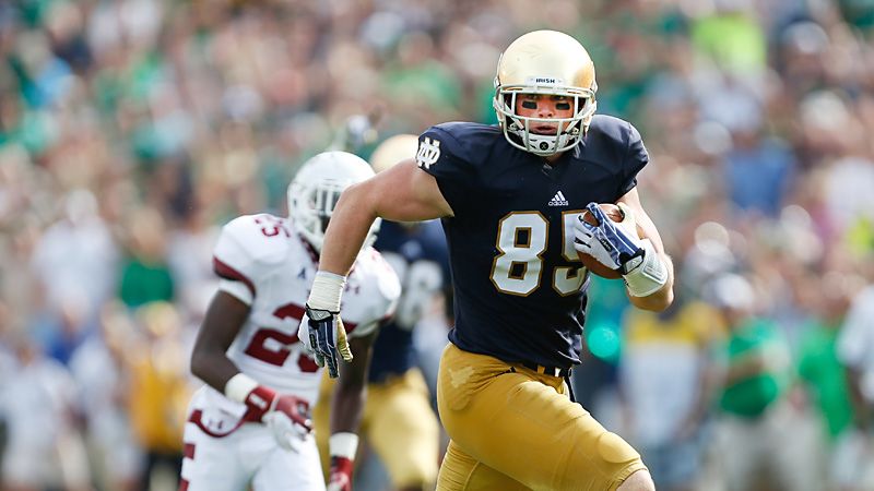 NFL - Rob Housler, Stephen Paea among veterans whose jobs are in ...