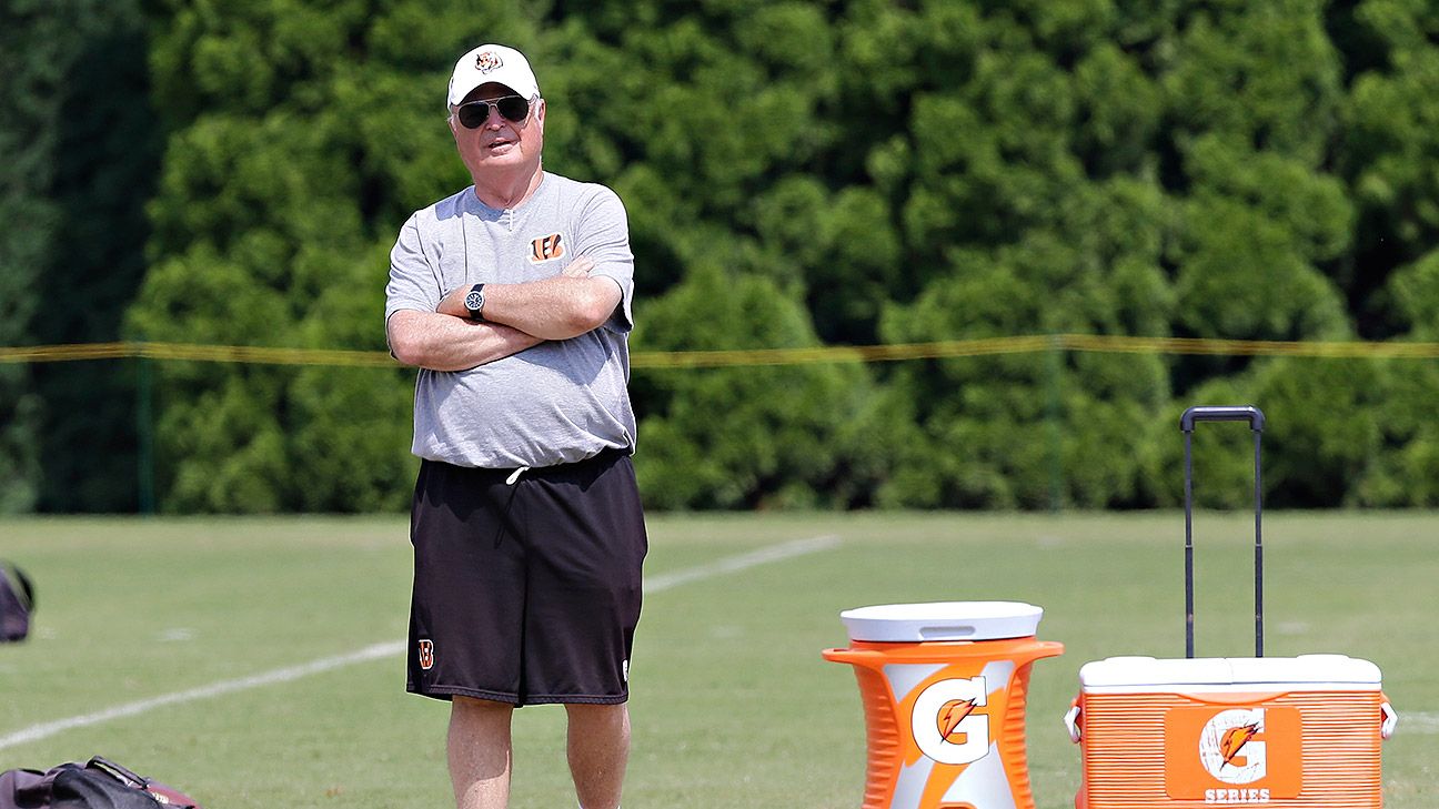 Cincinnati Bengals owner Mike Brown has 'mild medical situation' - ESPN