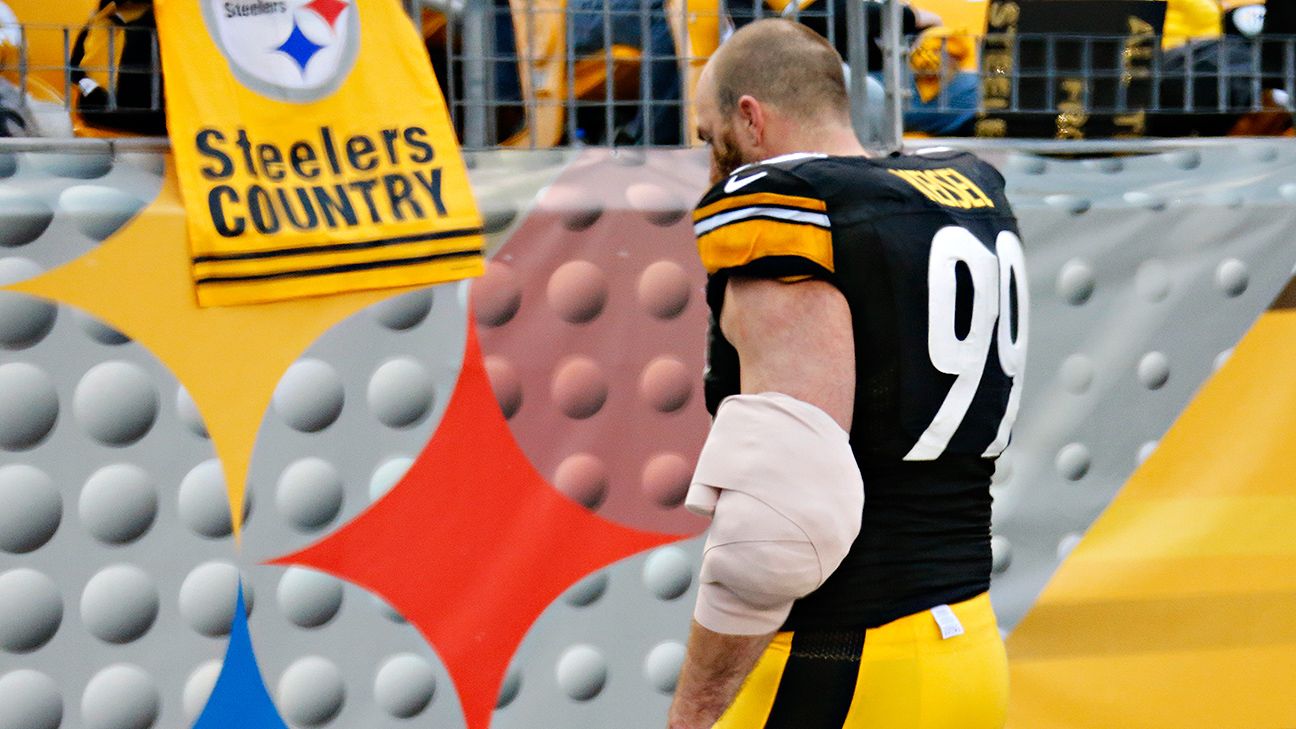 Pittsburgh Steelers release Brett Keisel - ESPN