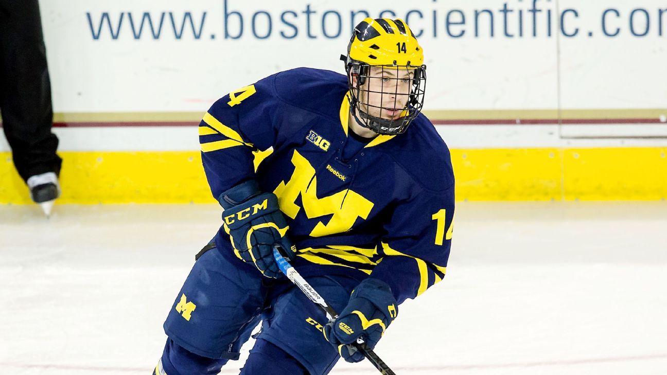 Blackhawks prospect Tyler Motte shines playing his style of game ...