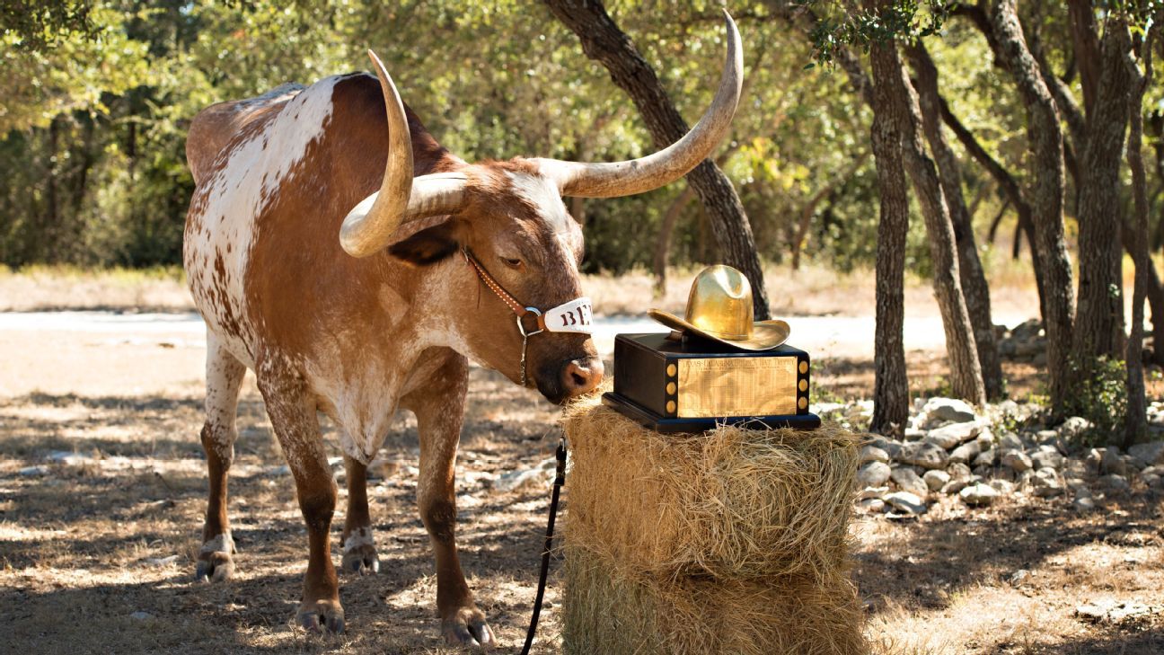 Fans send get well wishes to Texas mascot Bevo XIV on his retirement ...