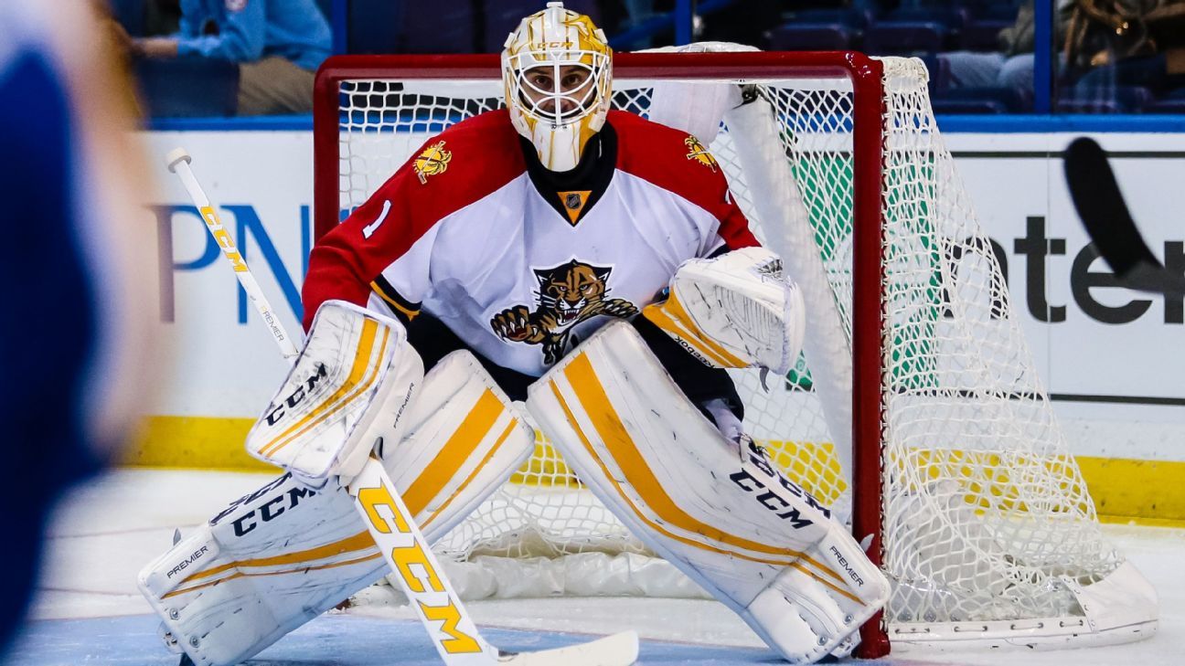 Daily fantasy hockey: Best buys for April 14 - NHL DFS - ESPN - Fantasy ...