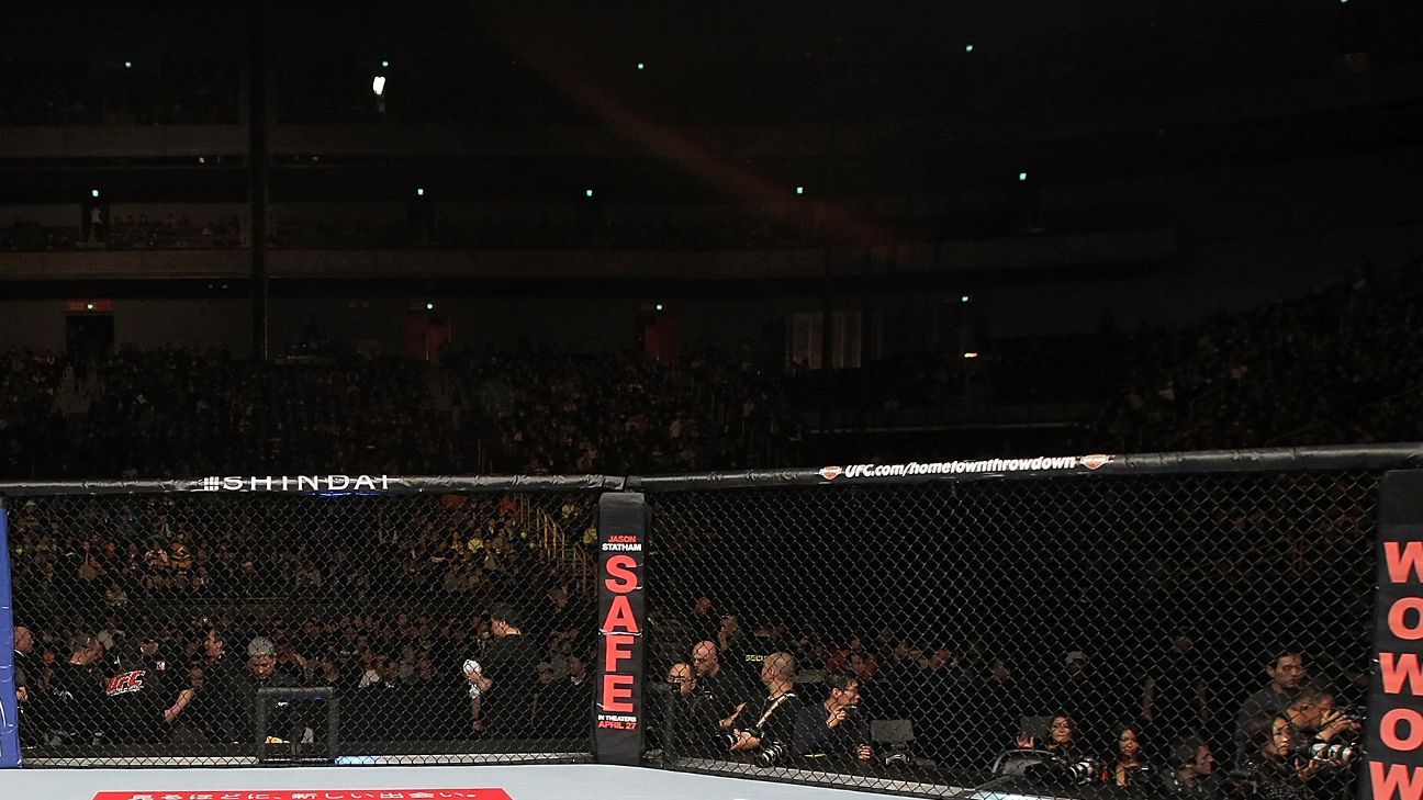 MMA fighter dies after KO in Dublin - ESPN