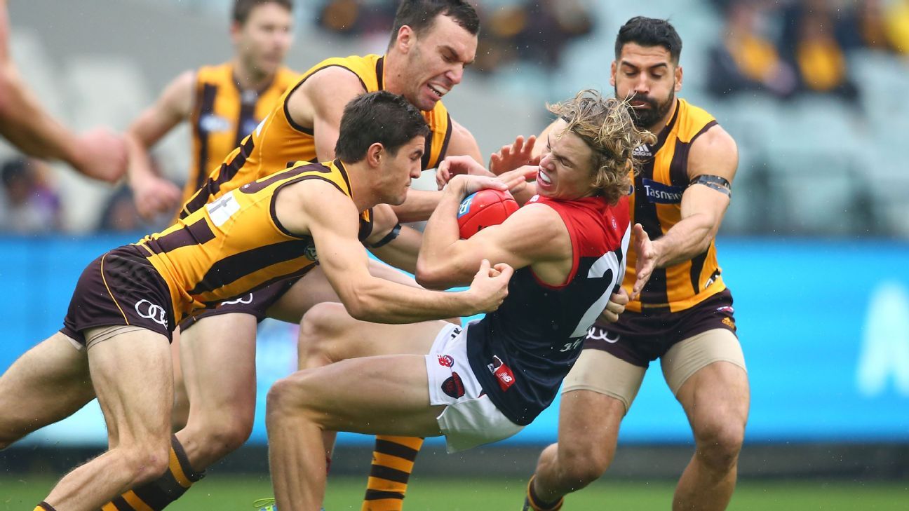 Hawks extend winning run over Dees - ESPN