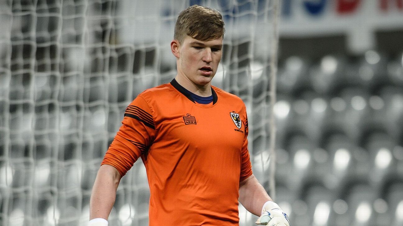 Hull City complete signing of AFC Wimbledon goalkeeper Will Mannion - ESPN