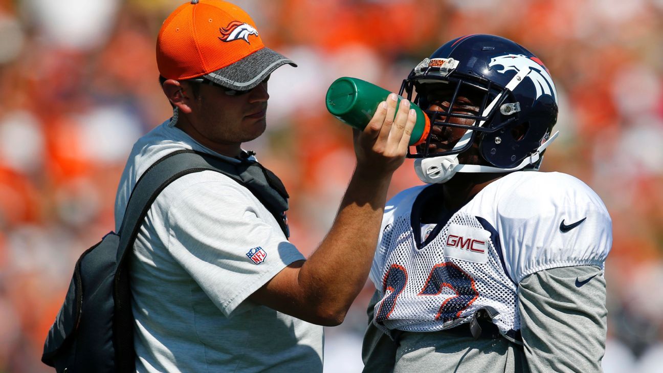 Denver Broncos evaluating injuries to Sam Brenner, Ronnie Hillman ...