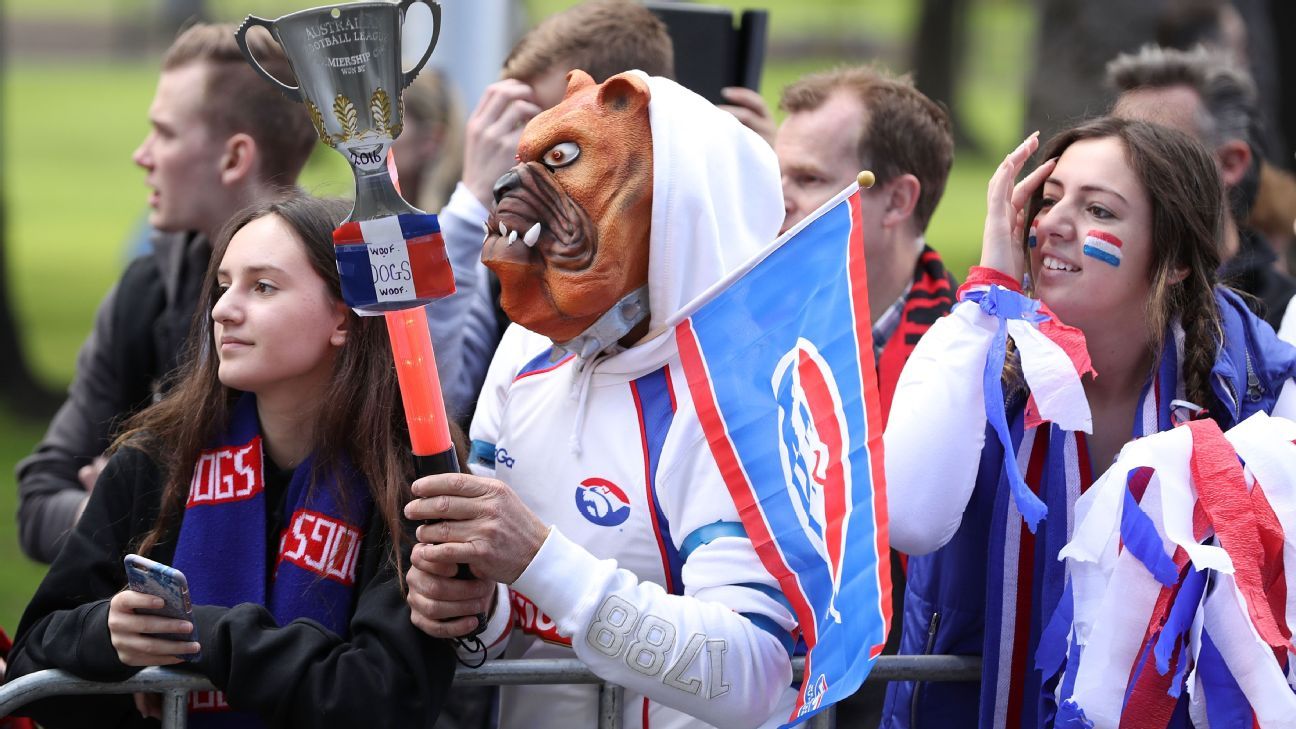 How Western Bulldogs fans endured a 20097 day AFL grand final drought ...