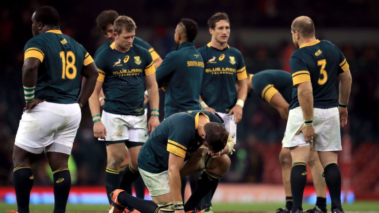 South Africa rugby coach Allister Coetzee will cast his net wider than ...