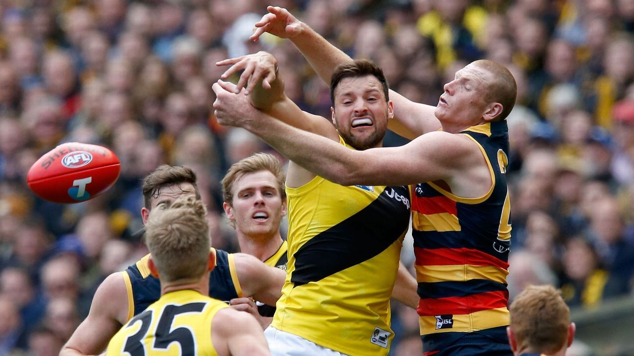 Tigers cult figure Toby Nankervis toast of Richmond grand final victory ...