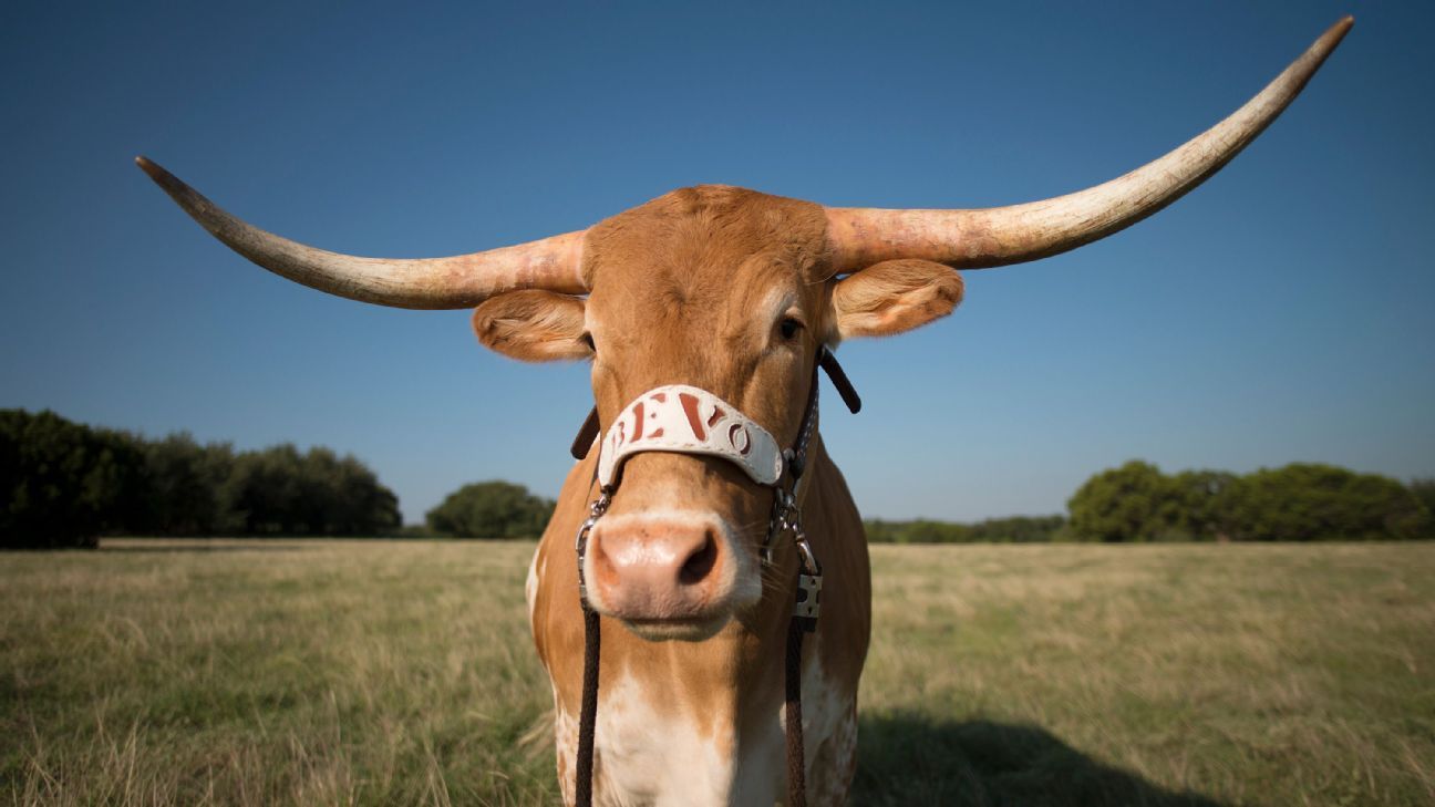 Rule to keep Texas mascot Bevo off field - ESPN