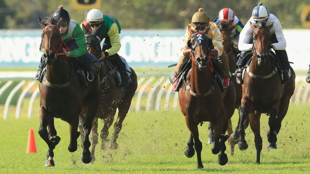 Horse Racing tips Get hooked on Addictive Nature at Rosehill - ESPN