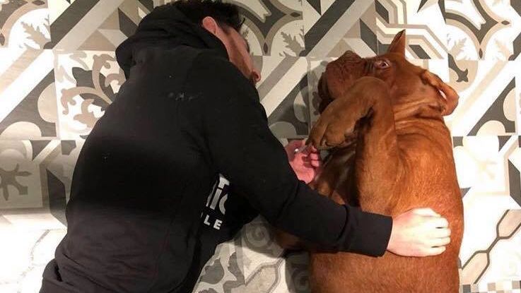 Messi comparte fotos de su perro Hulk y se viraliza - ESPN