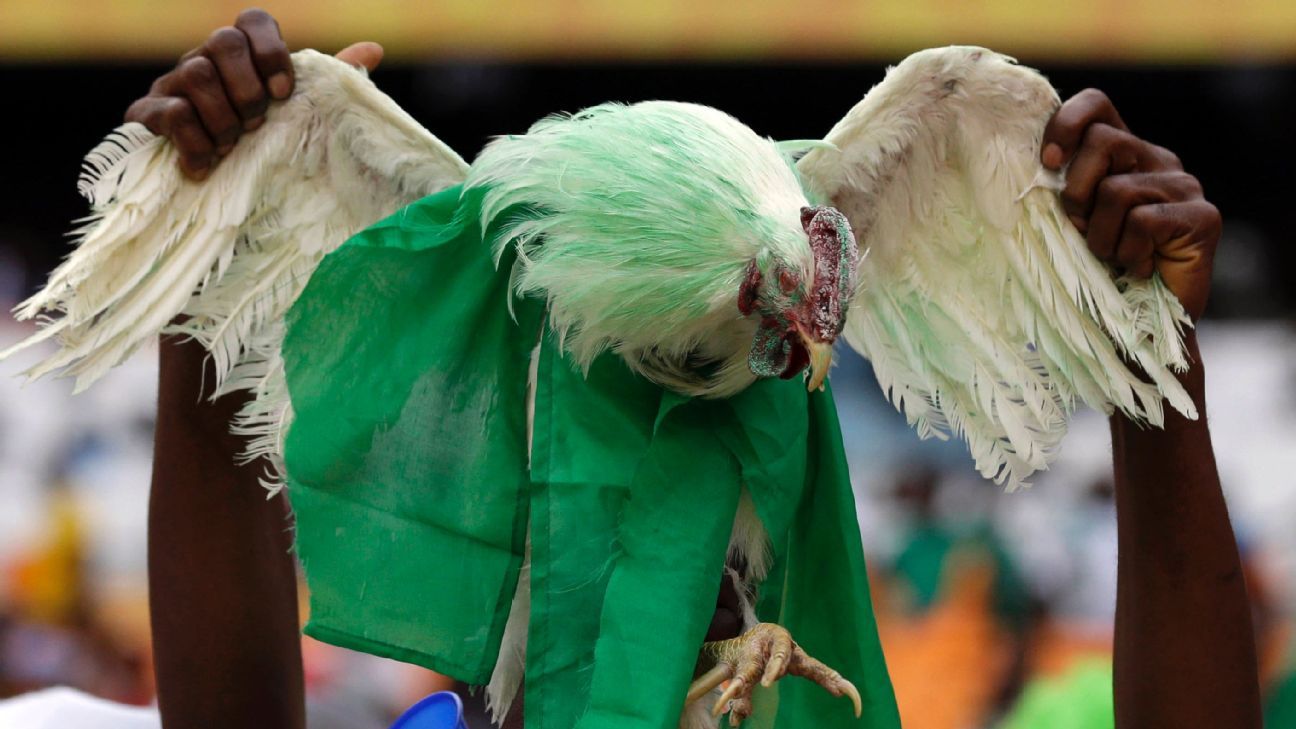 Foul play? Nigeria fans forced to leave live chickens at home - ESPN