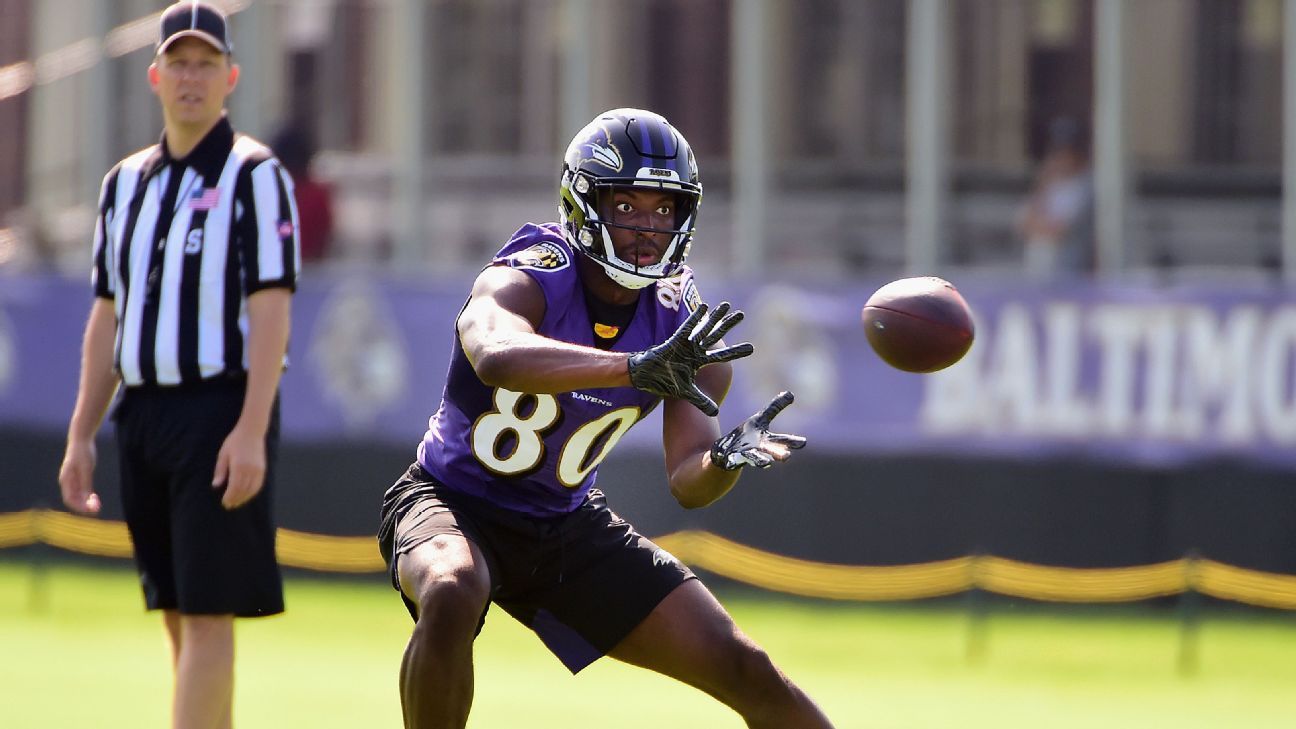 Too soon? Ravens' Miles Boykin draws comparison to Michael Thomas ...