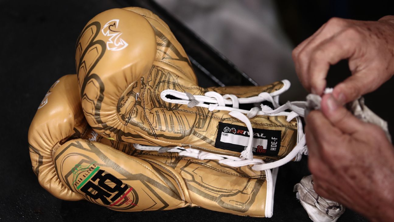 Dominicano Erick Rosa expondrá título mínimo OMB ante venezolano ...