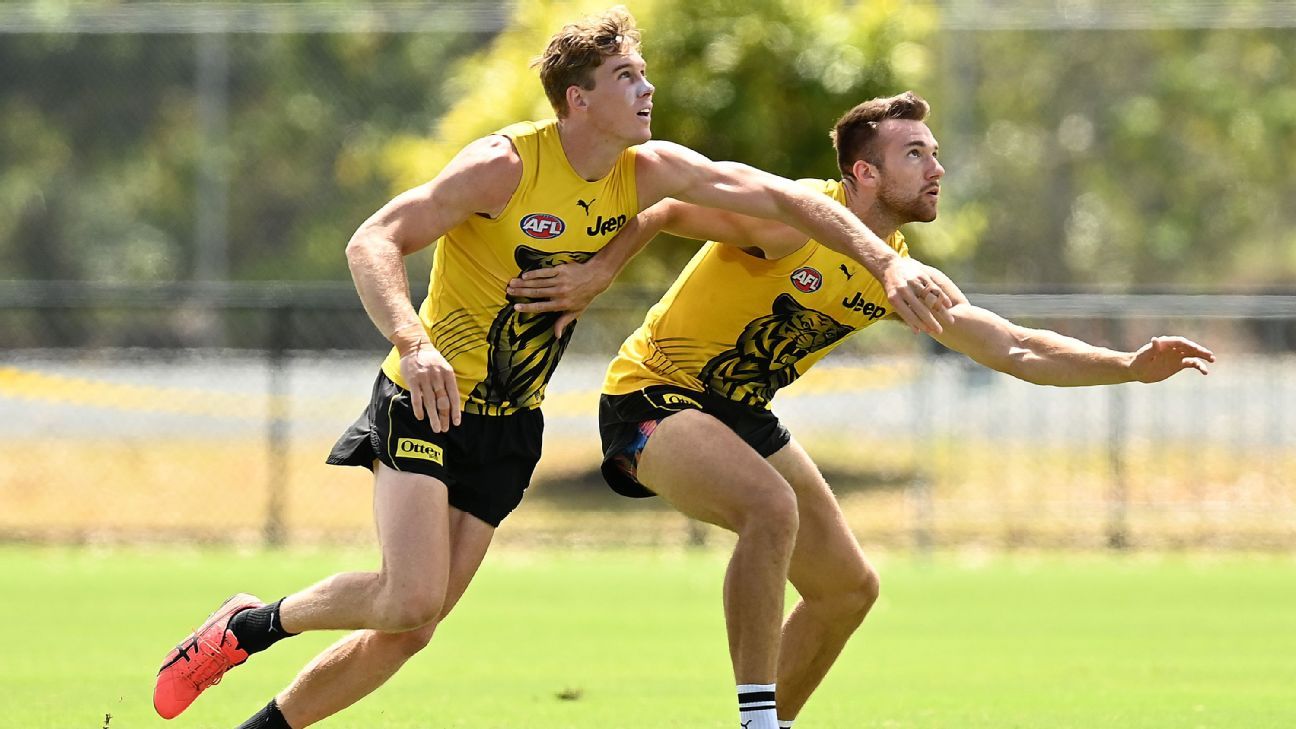 Alex Rance in Noah Balta's Grand Final corner - ESPN