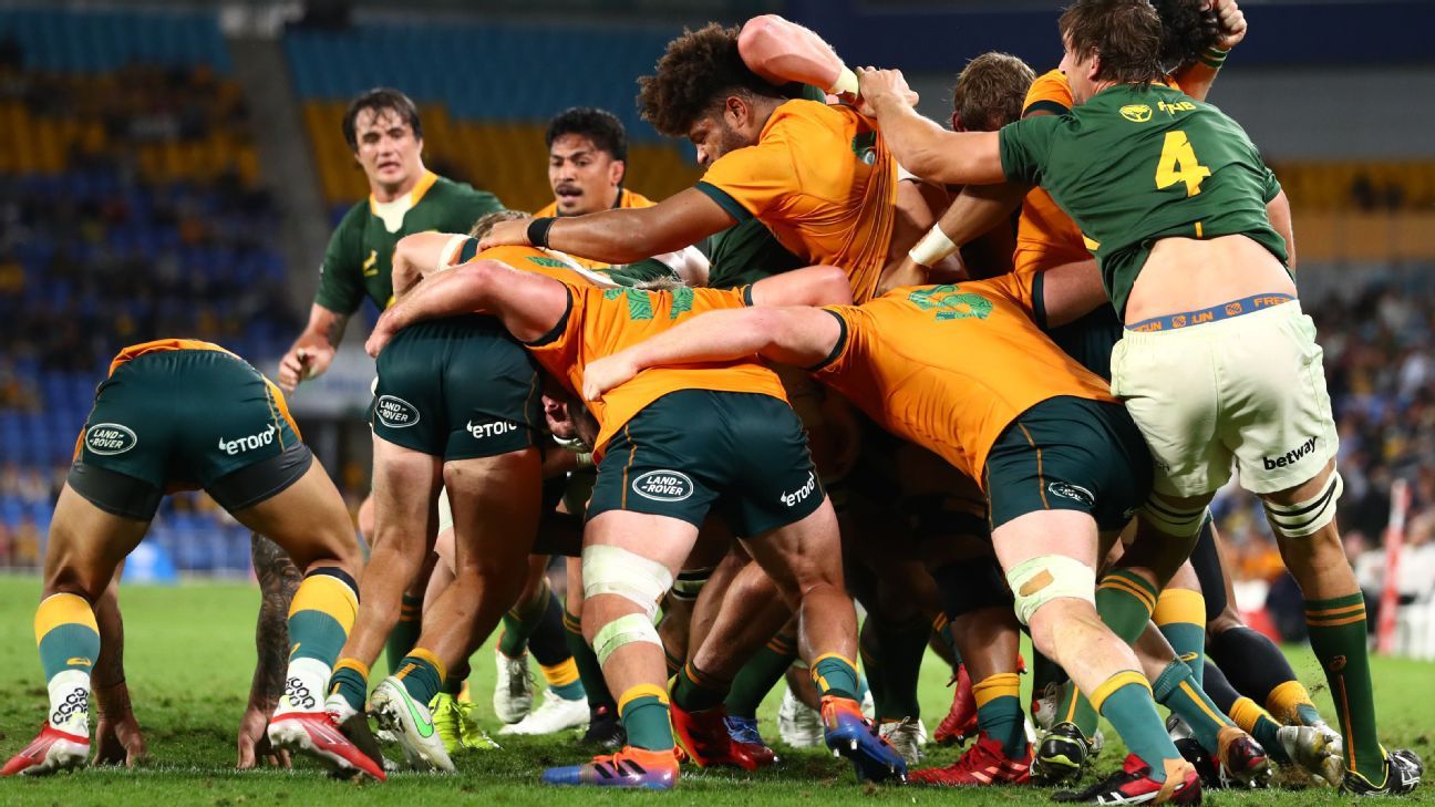 Wallabies vs Springboks, Rugby Championship, Suncorp Stadium, Brisbane ...