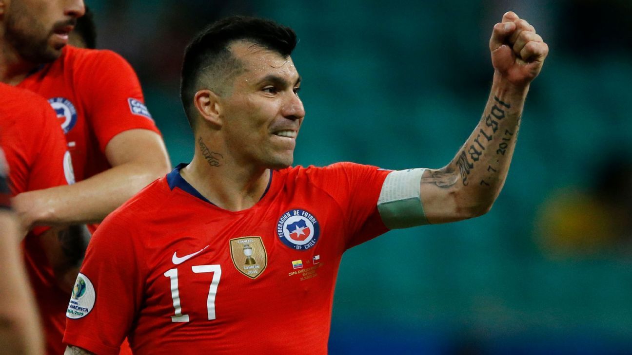 Medel: "En el Mundial de Sudáfrica se formó el mejor plantel de la ...