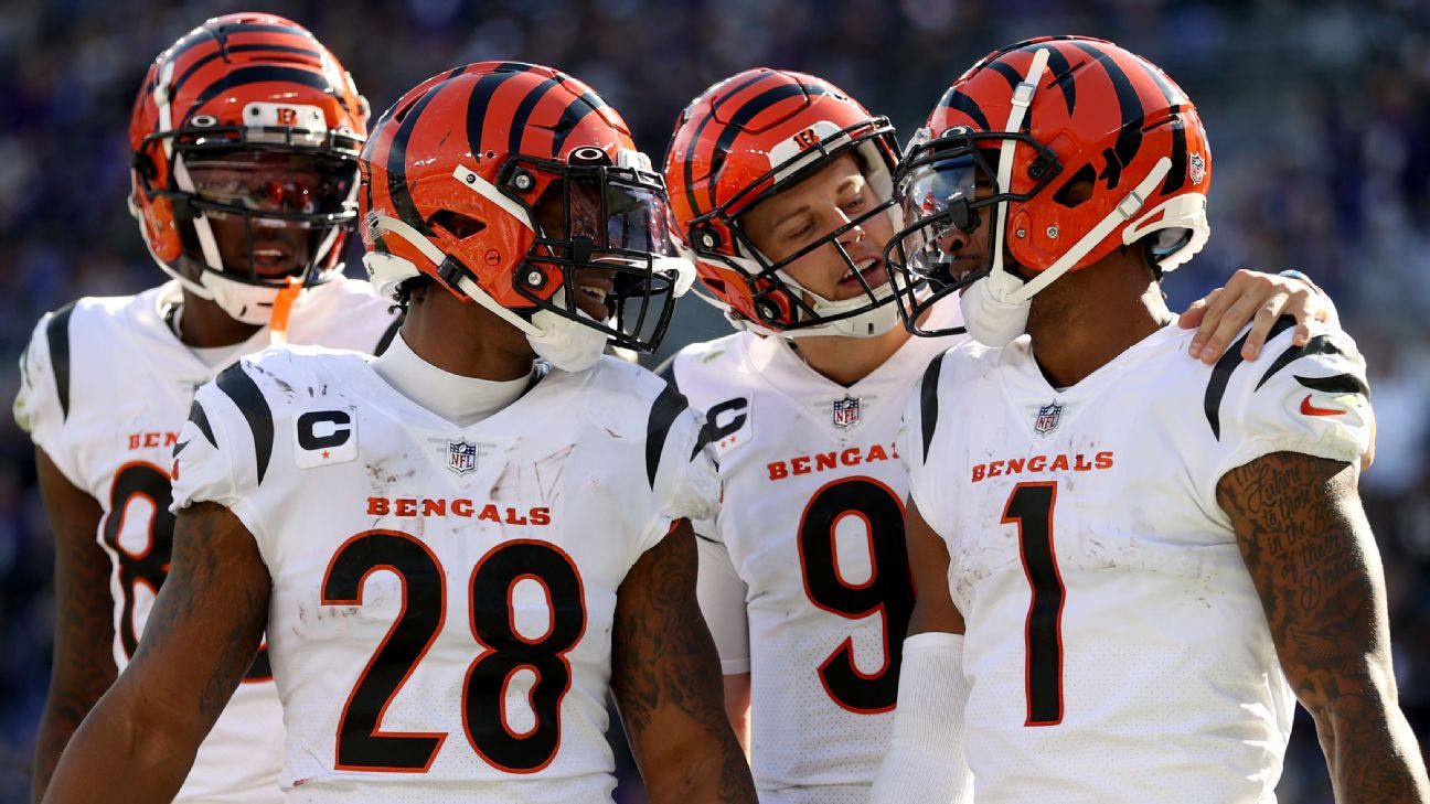 Cincinnati Bengals poised to be top cats in AFC North - ESPN ...