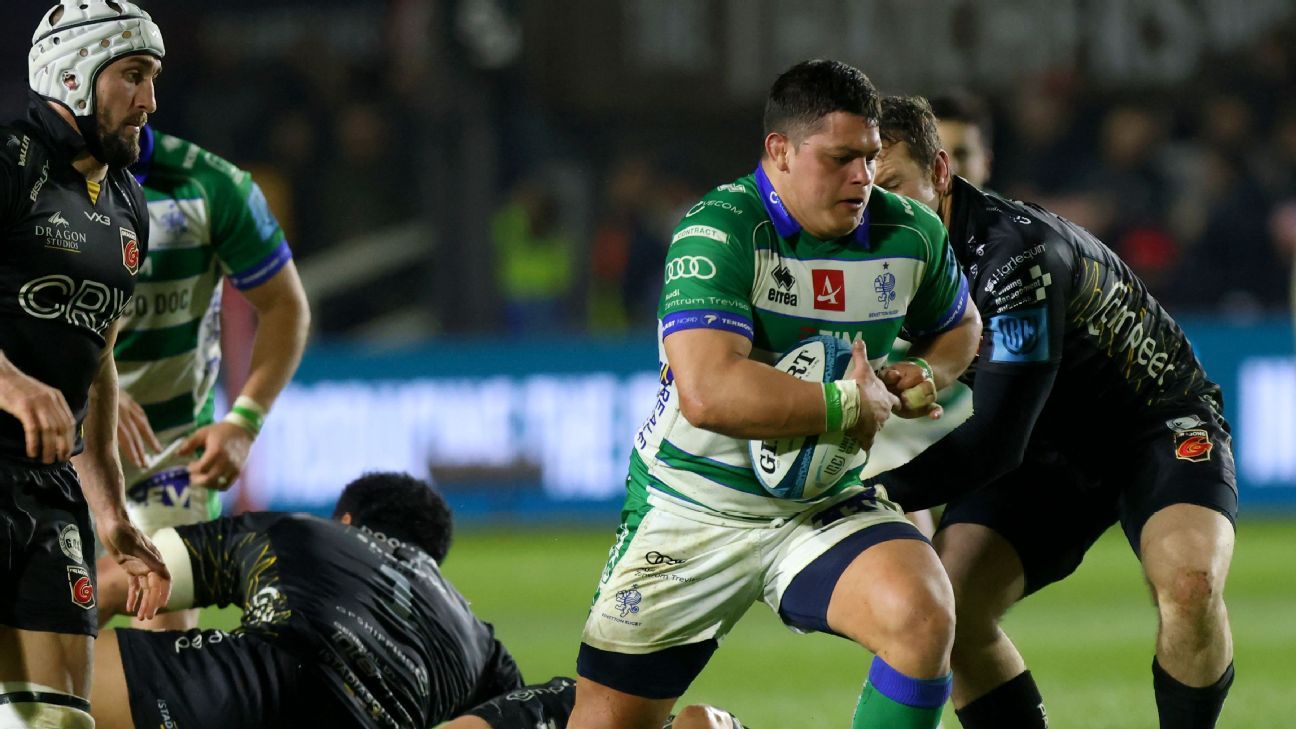 United Rugby Championship: Gallo, de Los Pumas a Benetton sin escalas ...