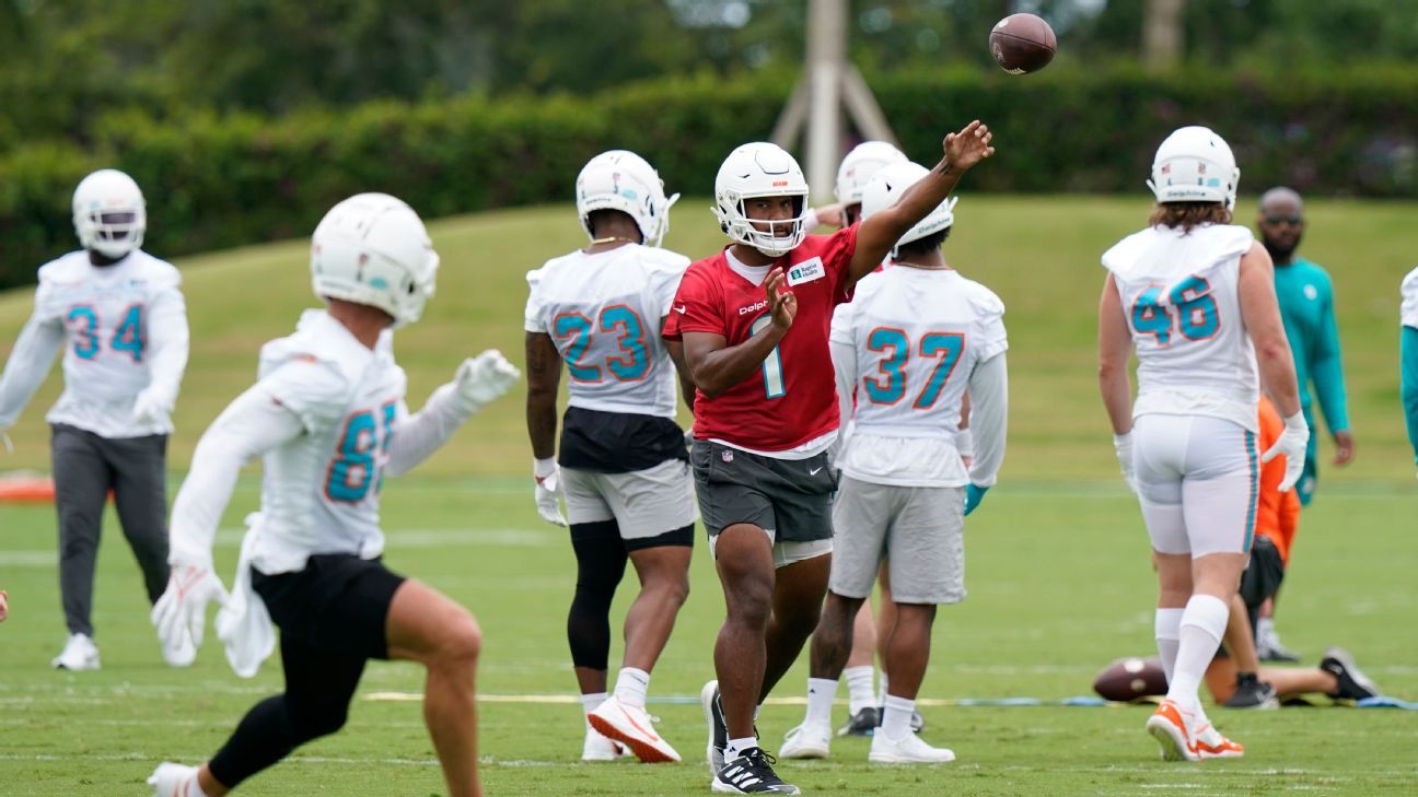 Check here all the dates and venues for the 32 NFL training camps – Archyde