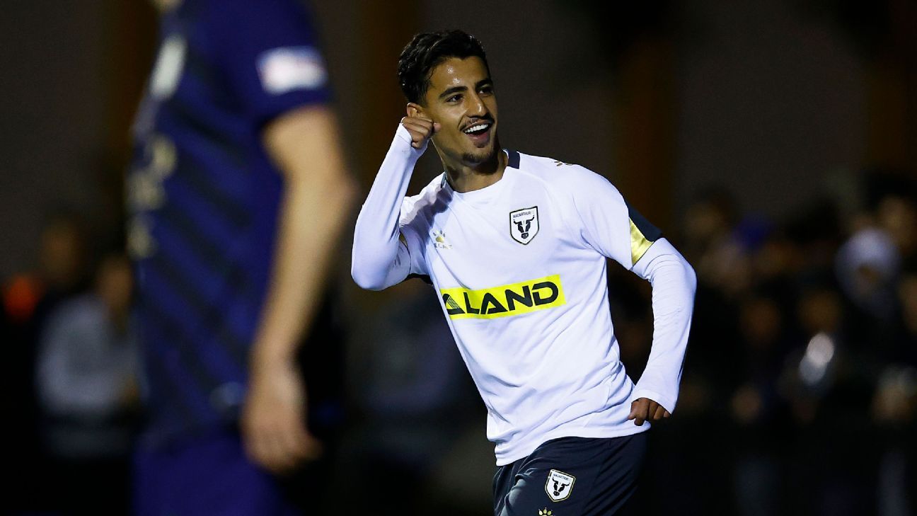 Daniel Arzani eyes Socceroos berth for World Cup - ESPN