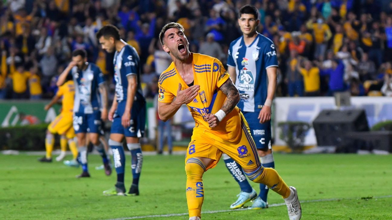 Fernando Gorriarán brilla como refuerzo en Tigres, a la espera de Nico ...