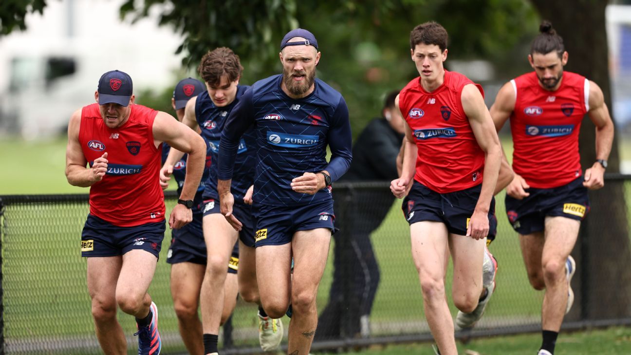 AFL preseason Melbourne Demons' Max Gawn injured at training - ESPN