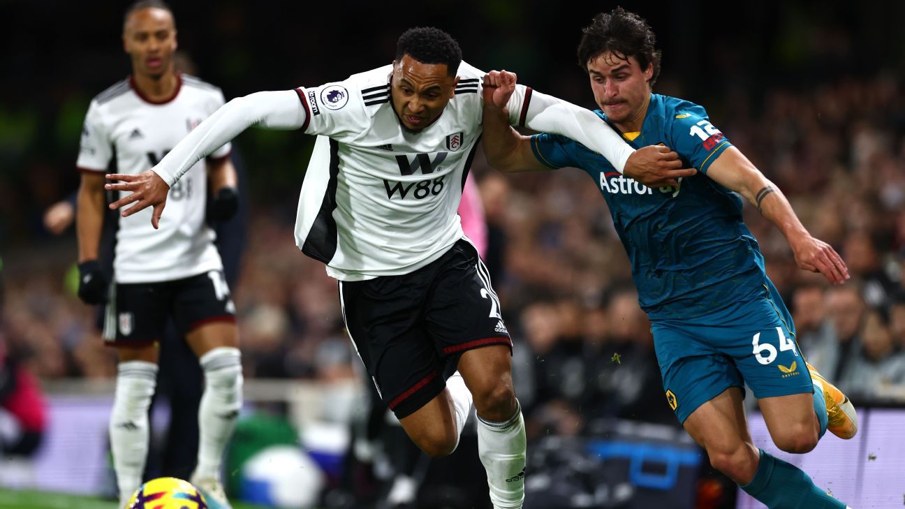 Fulham vs. Wolverhampton Wanderers - Football Match Summary - February ...