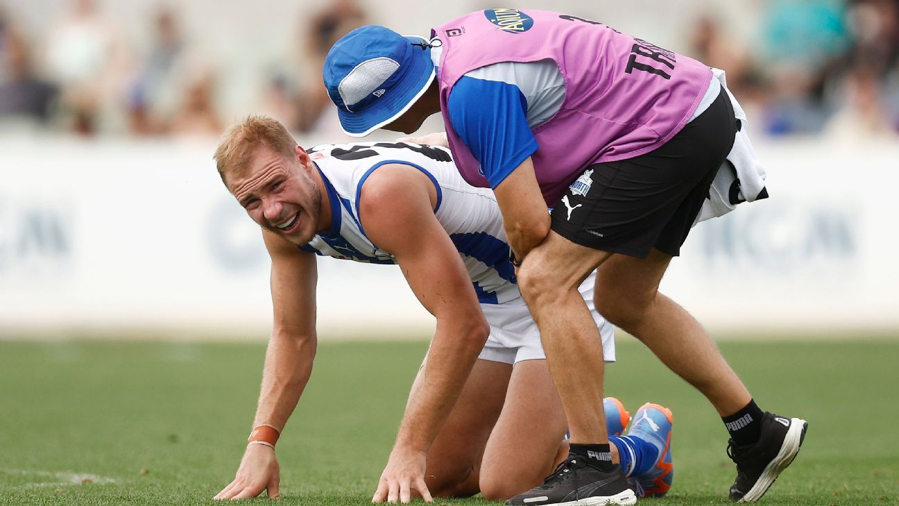 North Melbourne's Ben McKay injured, will miss start of AFL season - ESPN