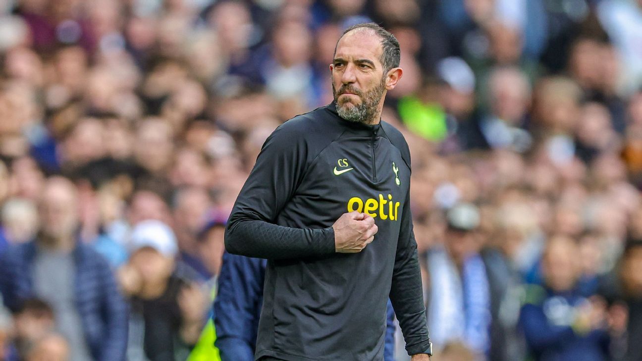 Tottenham Hotspur ontslaat interim-trainer Stellini - ESPN