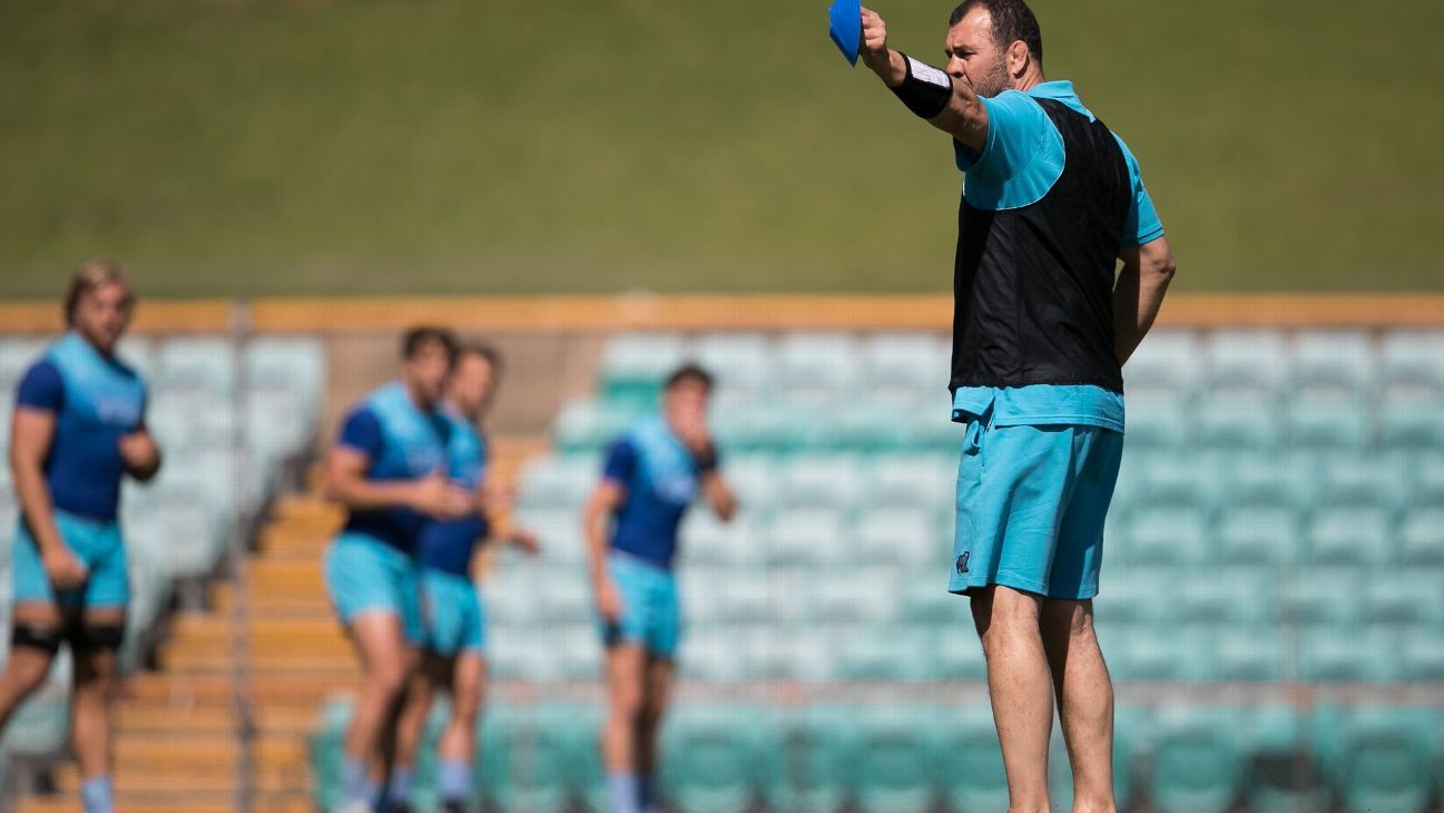 ¿Cuál será el futuro de Cheika después del Mundial de Francia? - ESPN