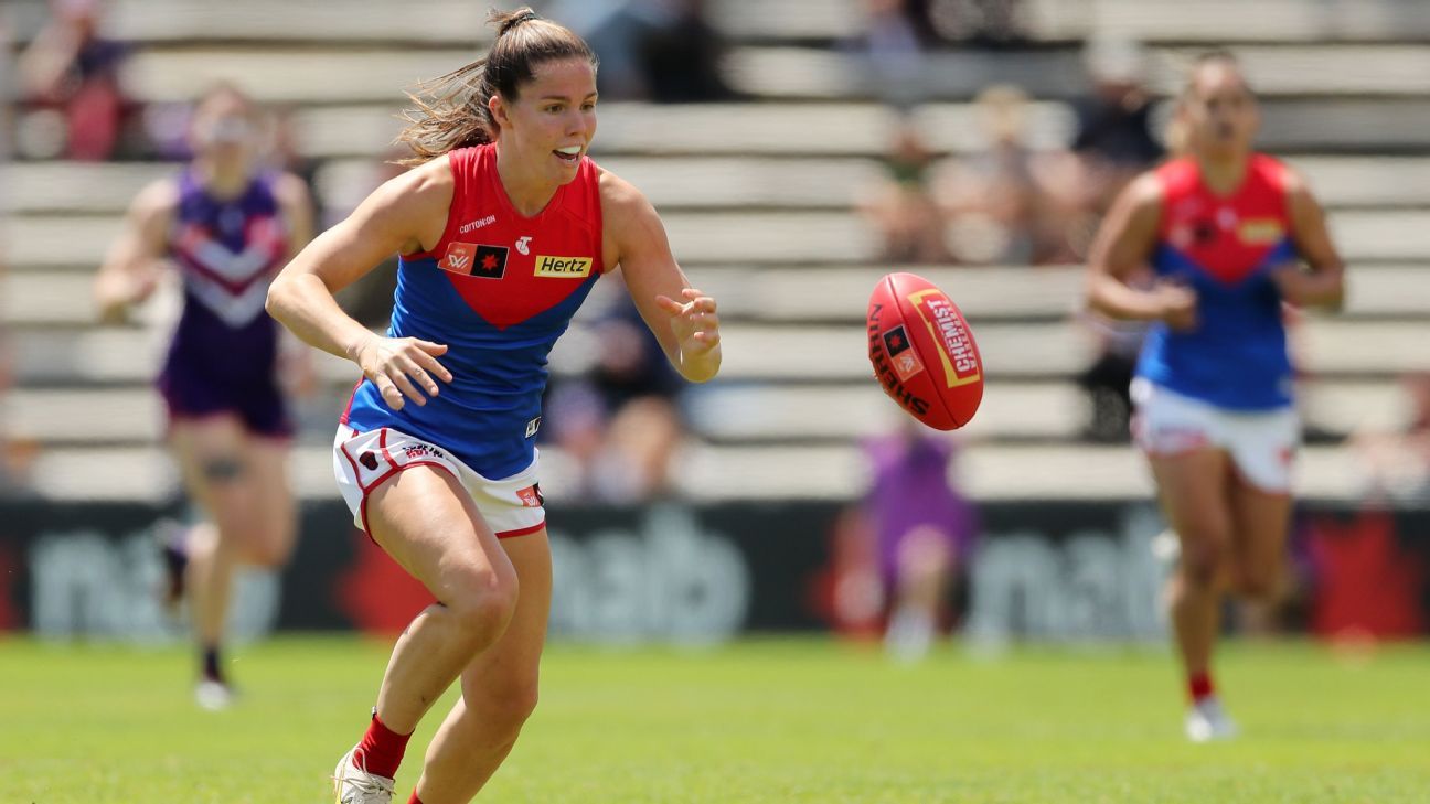 AFLW experienced players Ally Anderson, Jas Garner, Ash Riddell, Bri ...