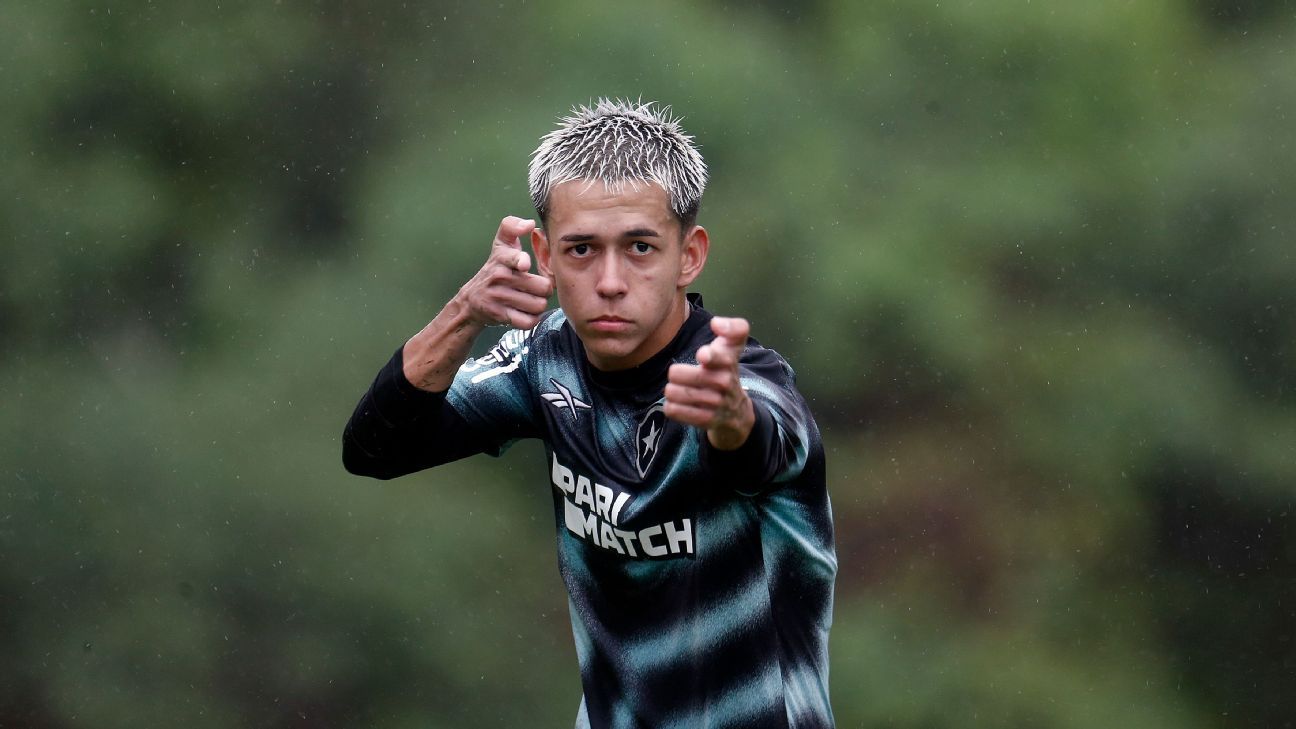 Segovinha confirma retorno ao Botafogo e não esconde desejo para o ...
