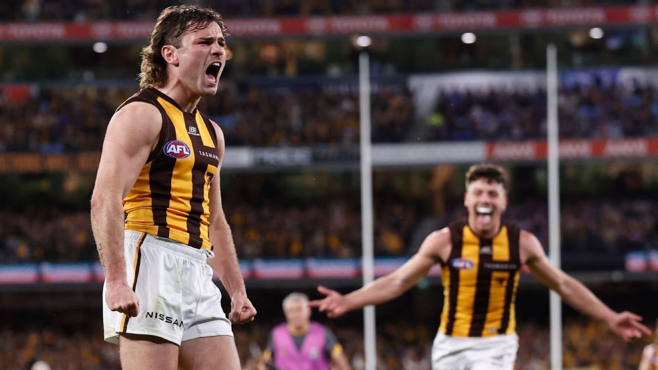 AFL Finals: What we learned - the Hawks can absolutely win the flag - ESPN