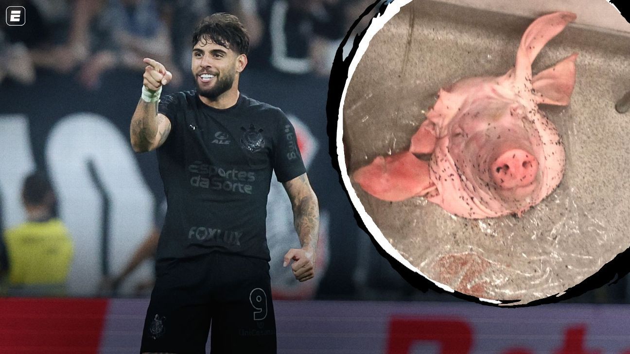 Yuri Alberto confundiu cabeça de porco com almofada em Corinthians x ...