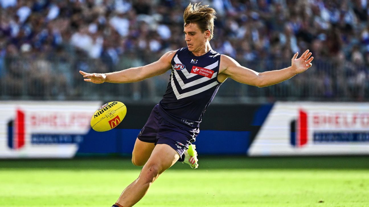 AFL: Freo trio injured, but brave Dockers hold off Bulldogs - ESPN