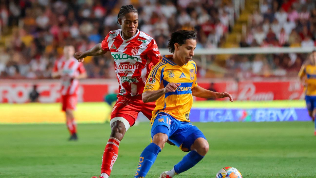 ¿Dónde podrás ver en vivo Tigres vs Necaxa de Cuartos de Final? - ESPN