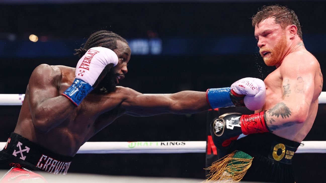 Los memes no perdonan la derrota de Canelo ante Crawford - ESPN