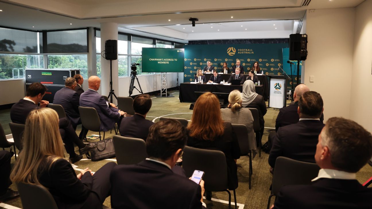 Football Australia appoints Martin Kugeler as new CEO - ESPN