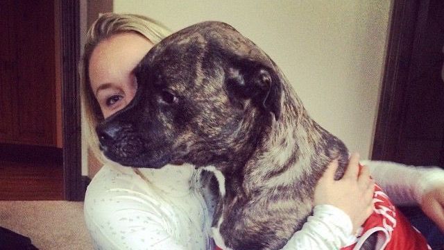 Lindsey Vonn posts heartfelt goodbye to her dog Leo - ESPN