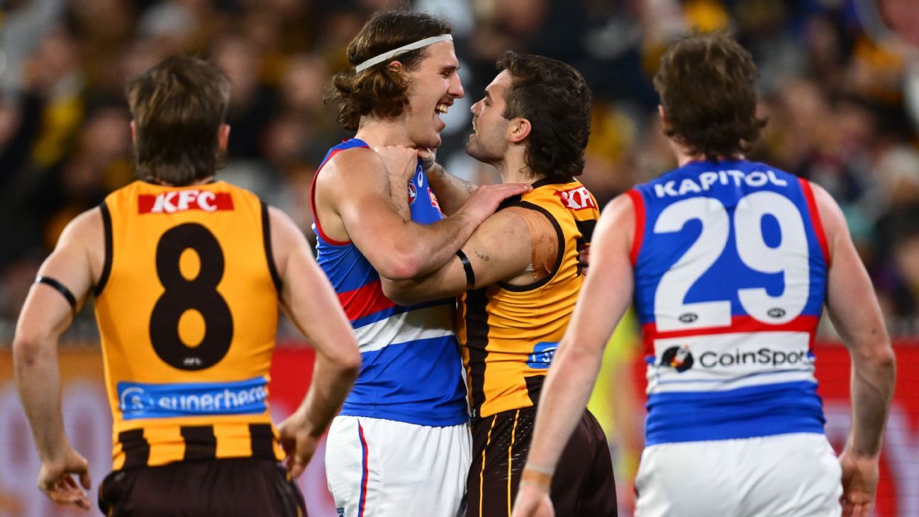 Dogs defender Michael Sellwood takes down Wizard, an abusive fan - ESPN