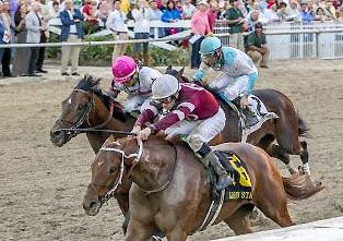 Pedigree profile: Gun Runner - ESPN