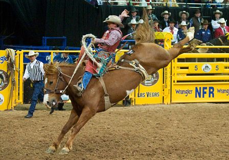 Cody Wright rides for a score of 81.5 points Monday night at the WNFR ...
