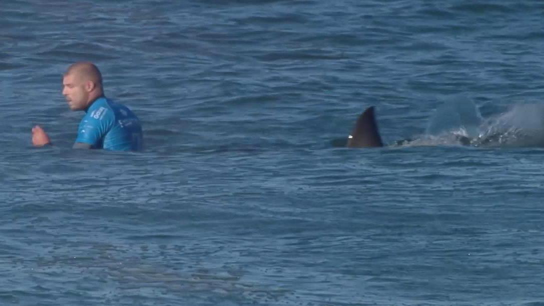 Bethany Hamilton Sends Message To Mick Fanning After Shark Attack ...